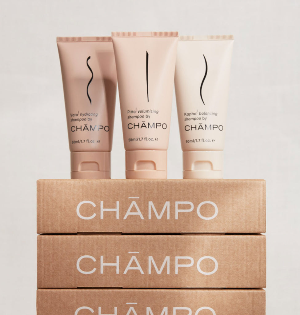 Chämpo® | Clarity and character – the ‘who’s who’ of hair types – Chāmpo